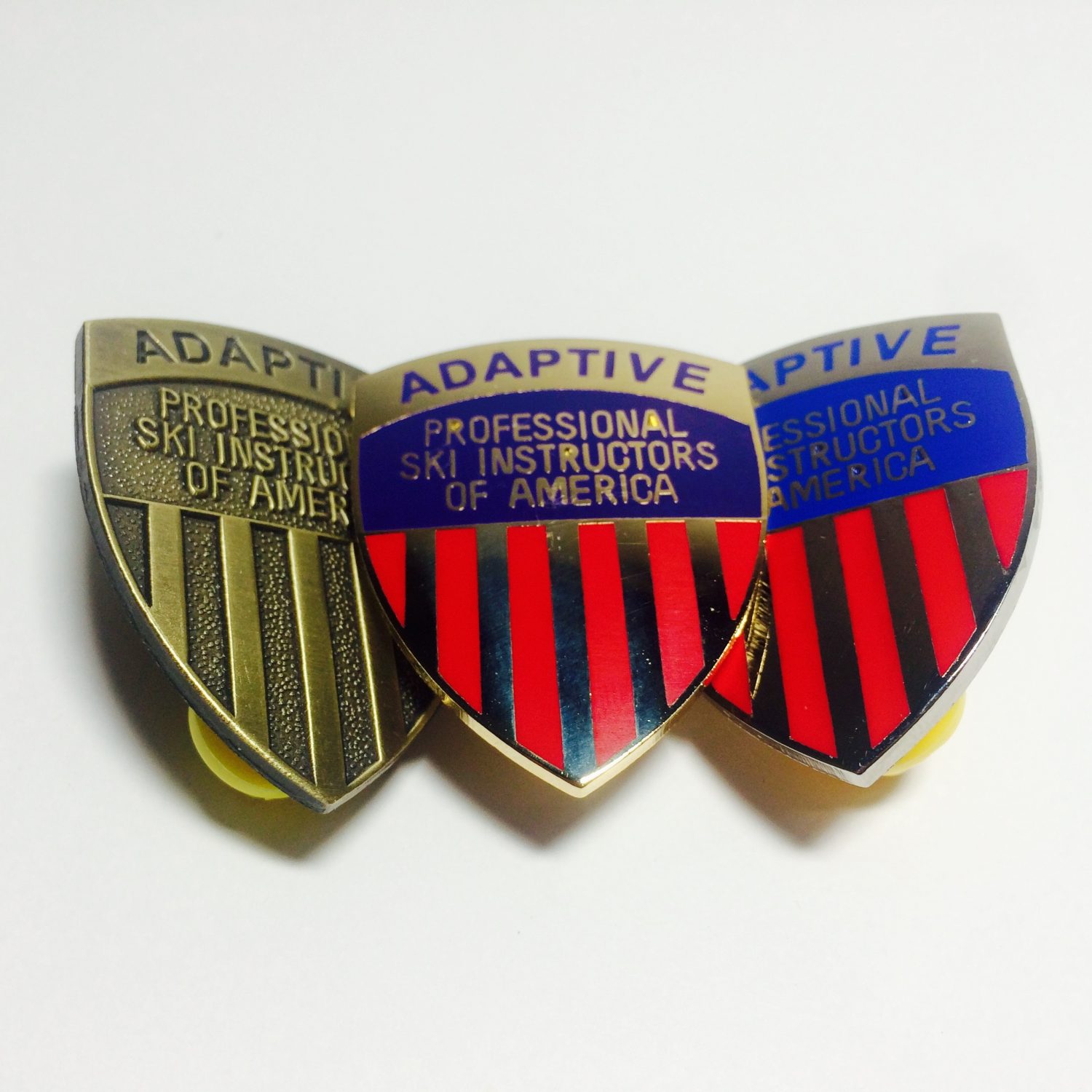 PSIA-AASI National Team Tryouts – PSIA-AASI